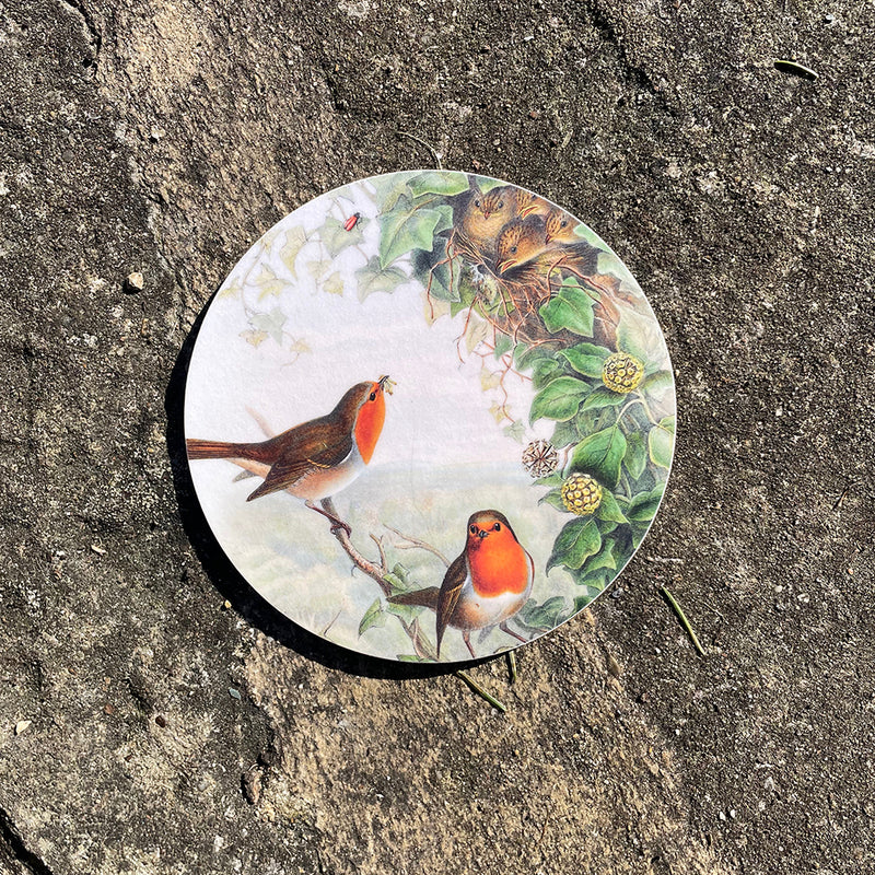 Table mat - Birds of the UK - Robin - feeding its young – A Blackbird Sang