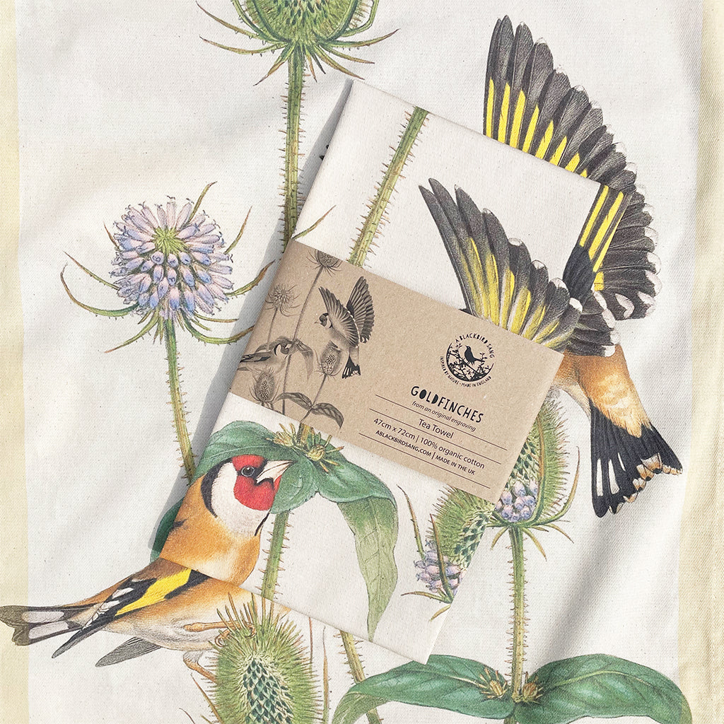 Tea towel - Birds of the UK - Goldfinch - feeding on teasel – A ...