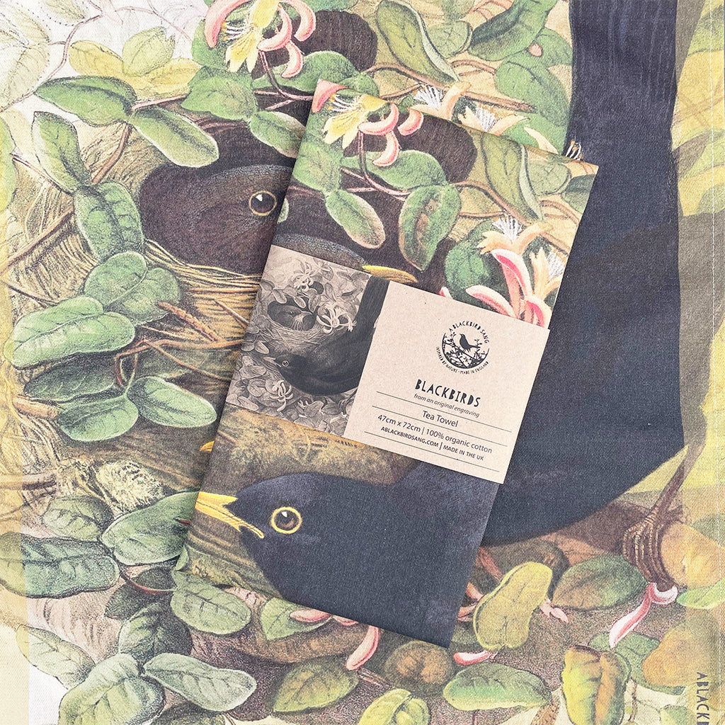 Tea towel - Birds of the UK - Blackbirds - nesting – A Blackbird Sang