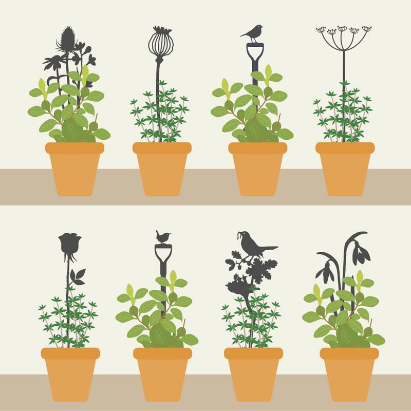 Pot Stems - Blackbird feeding family – A Blackbird Sang