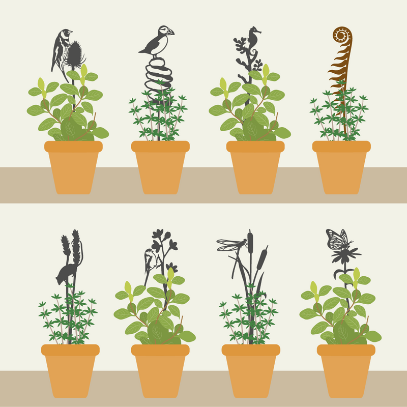 Pot Stems - Puffin by the coast – A Blackbird Sang